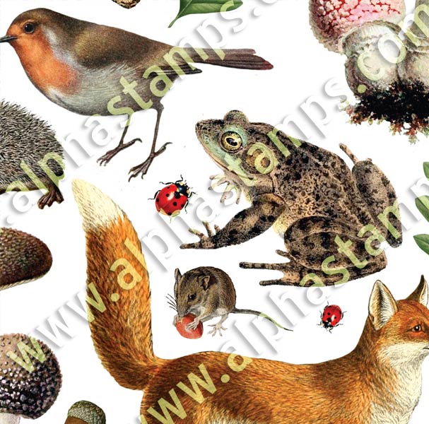 Into the Woods Flora & Fauna Collage Sheet | Alpha Stamps