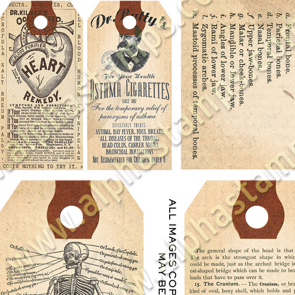 Anatomy Gift Tags Half Sheet | Alpha Stamps