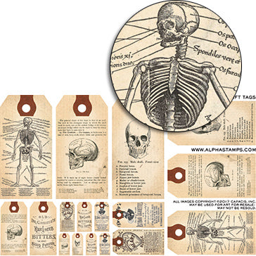 Anatomy Gift Tags Half Sheet | Alpha Stamps