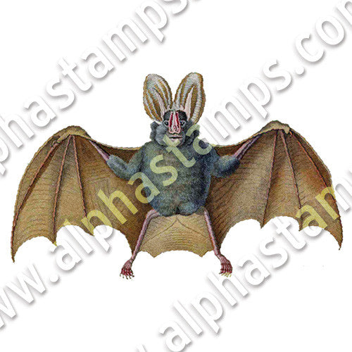 Bats Half Sheet | Alpha Stamps