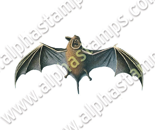 Bats Half Sheet | Alpha Stamps
