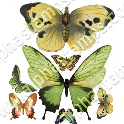 Butterflies & Moths Collage Sheet | Alpha Stamps