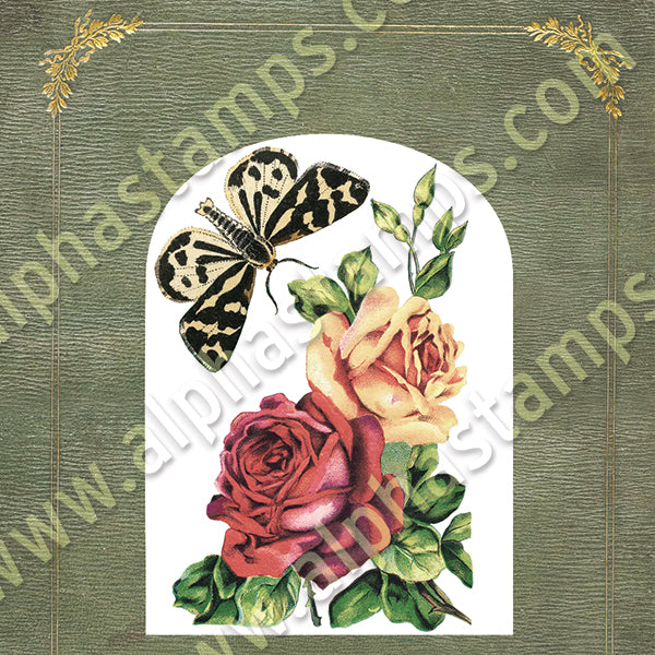 Cabinet Card Frames - Arched Collage Sheet* | Alpha Stamps