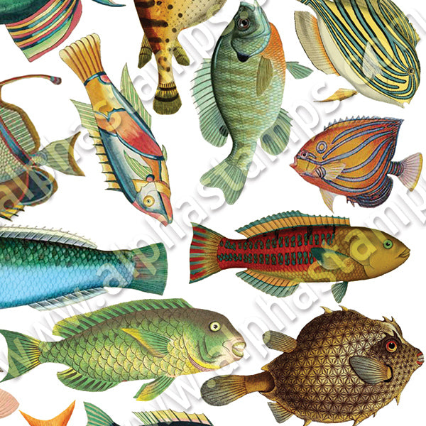 Colorful Fish Collage Sheet | Alpha Stamps