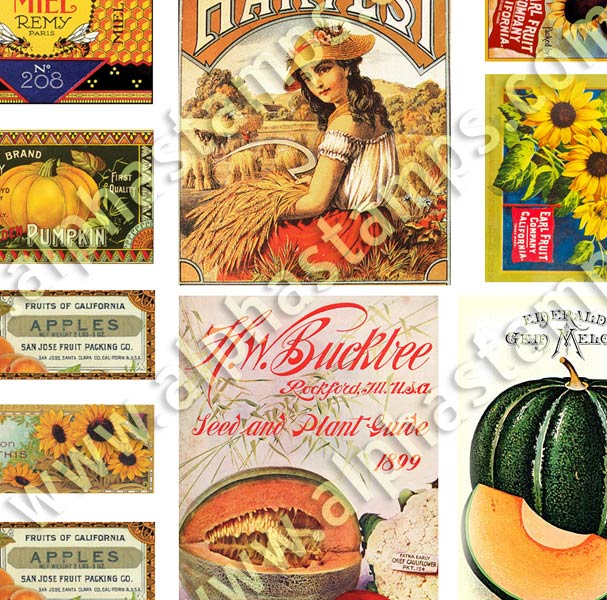 Fall Market Signage and Labels Collage Sheet | Alpha Stamps