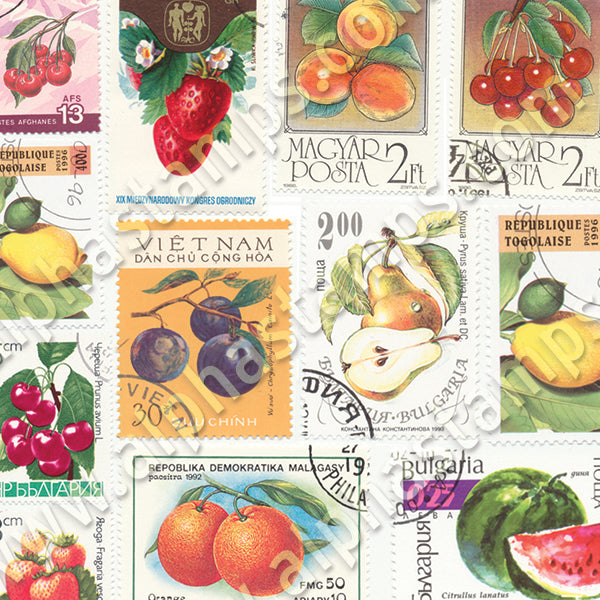 Fruit Postage Stamps Half Sheet | Alpha Stamps