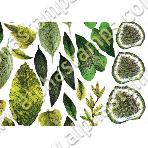 Green Leaves Collage Sheet | Alpha Stamps