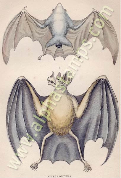 Victorian Bats Collage Sheet | Alpha Stamps